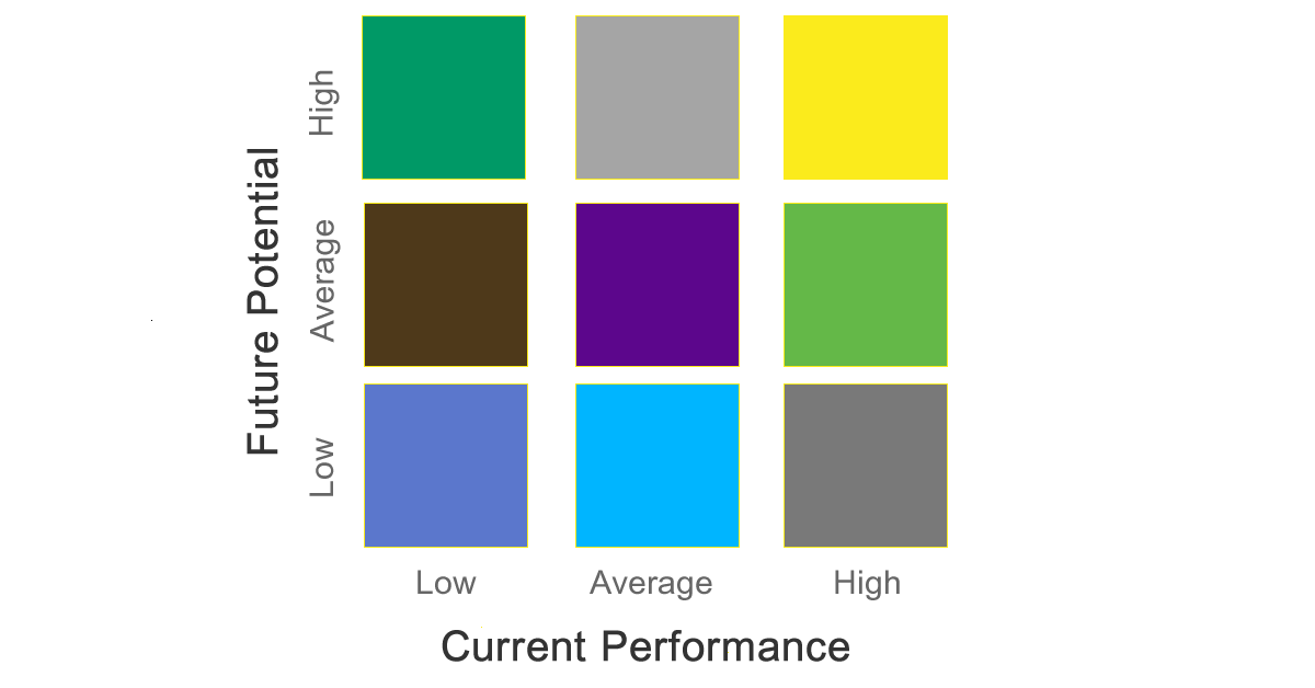 Where Do You Fit on Your Organization’s Nine-Box Grid? | CFA Institute ...